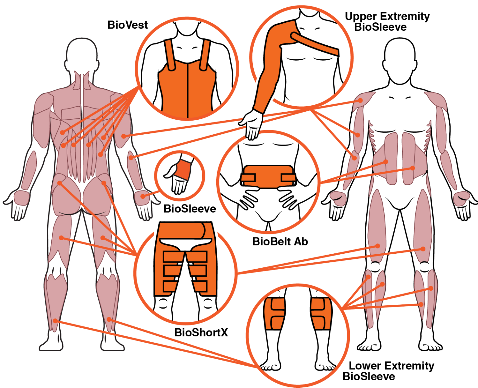 Spinal Cord Injury – AxioBionics, LLC